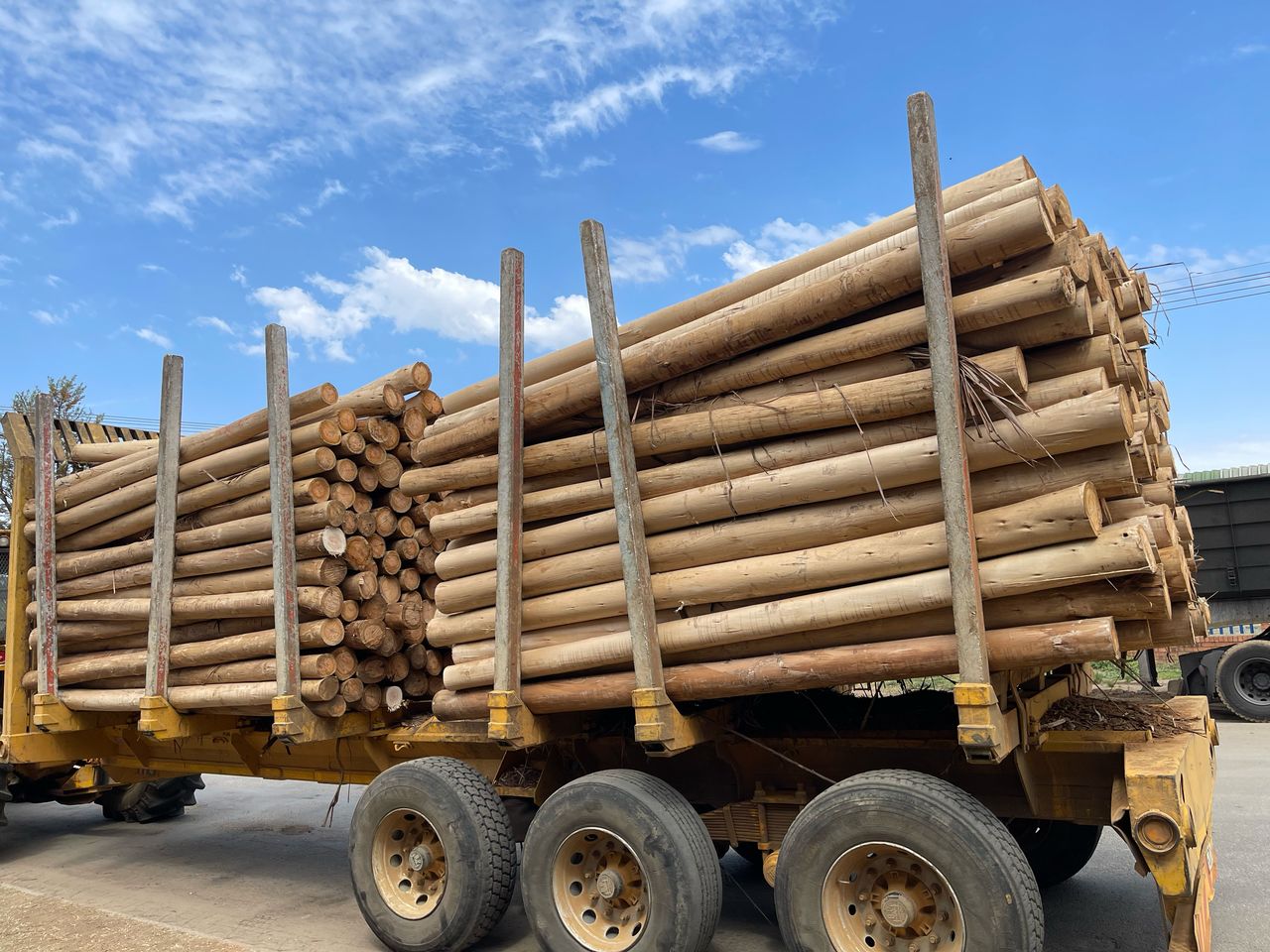 Junior Timber | Premium Mining & Construction Timber & Heavy Duty Twine ...