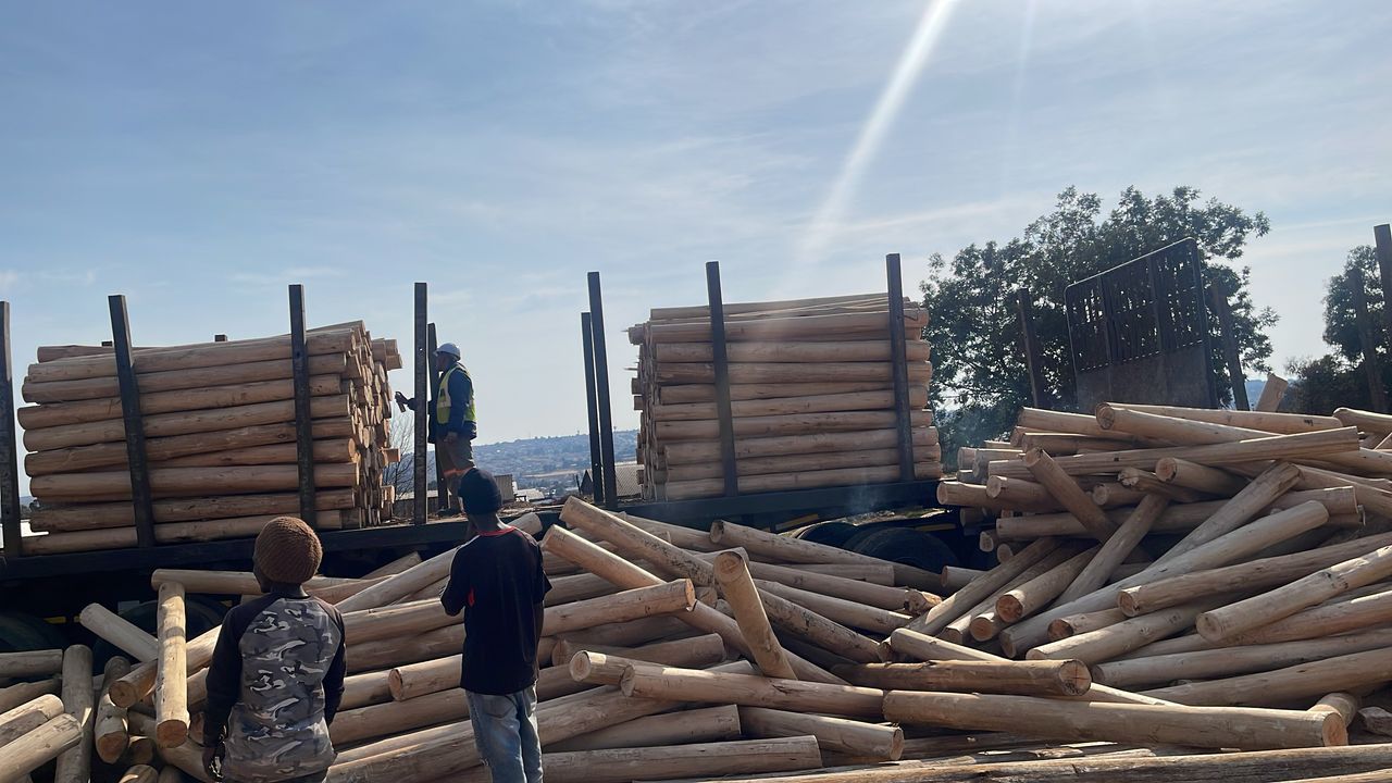 Junior Timber | Premium Mining & Construction Timber & Heavy Duty Twine ...