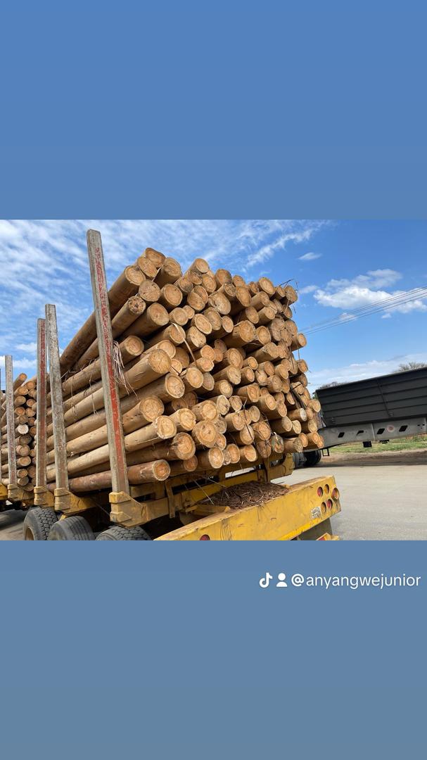 Junior Timber | Premium Mining & Construction Timber & Heavy Duty Twine ...